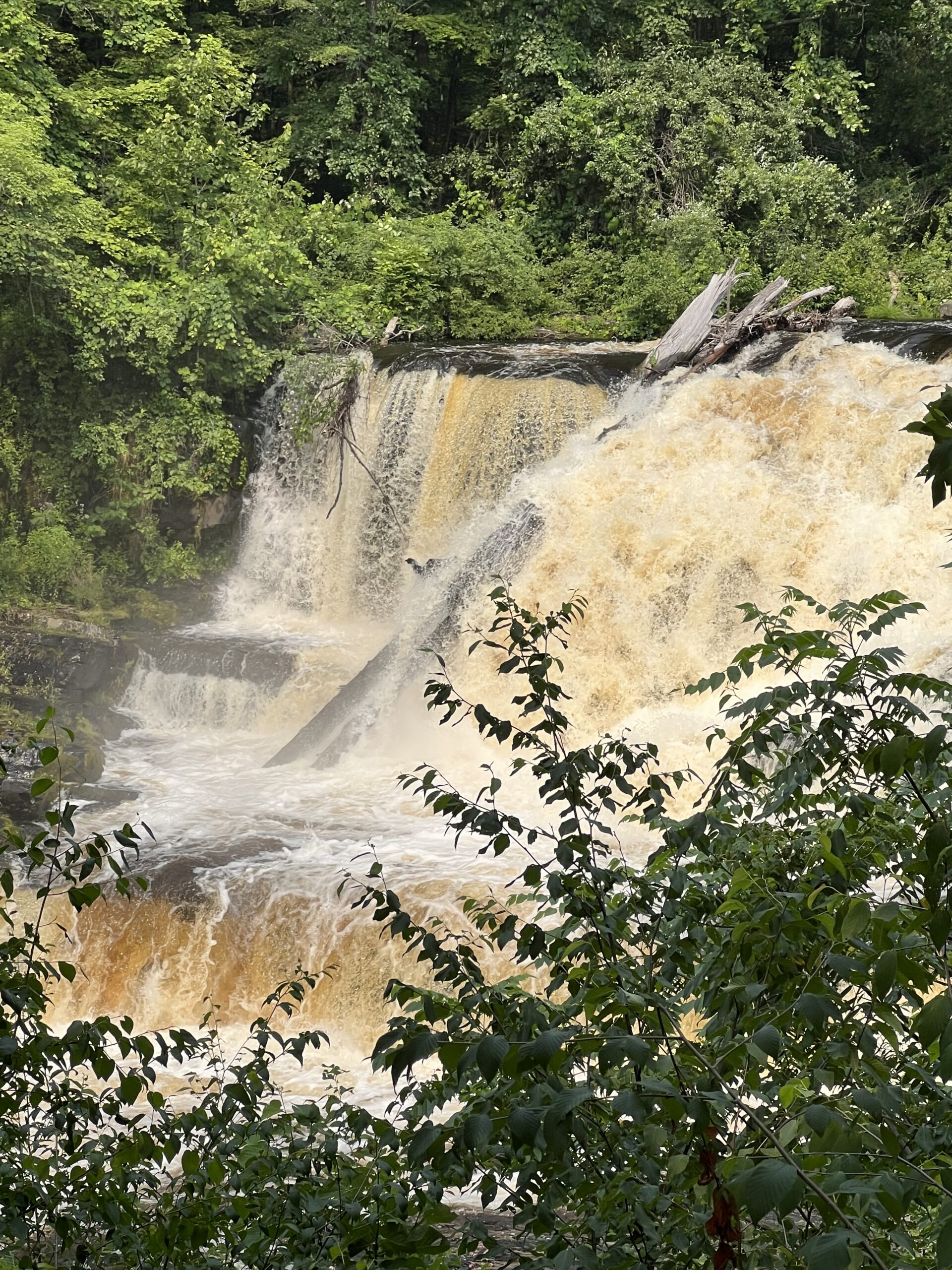 Troop 1214 Summer Camp at Resica Falls Scout Reservation! – Troop 1214